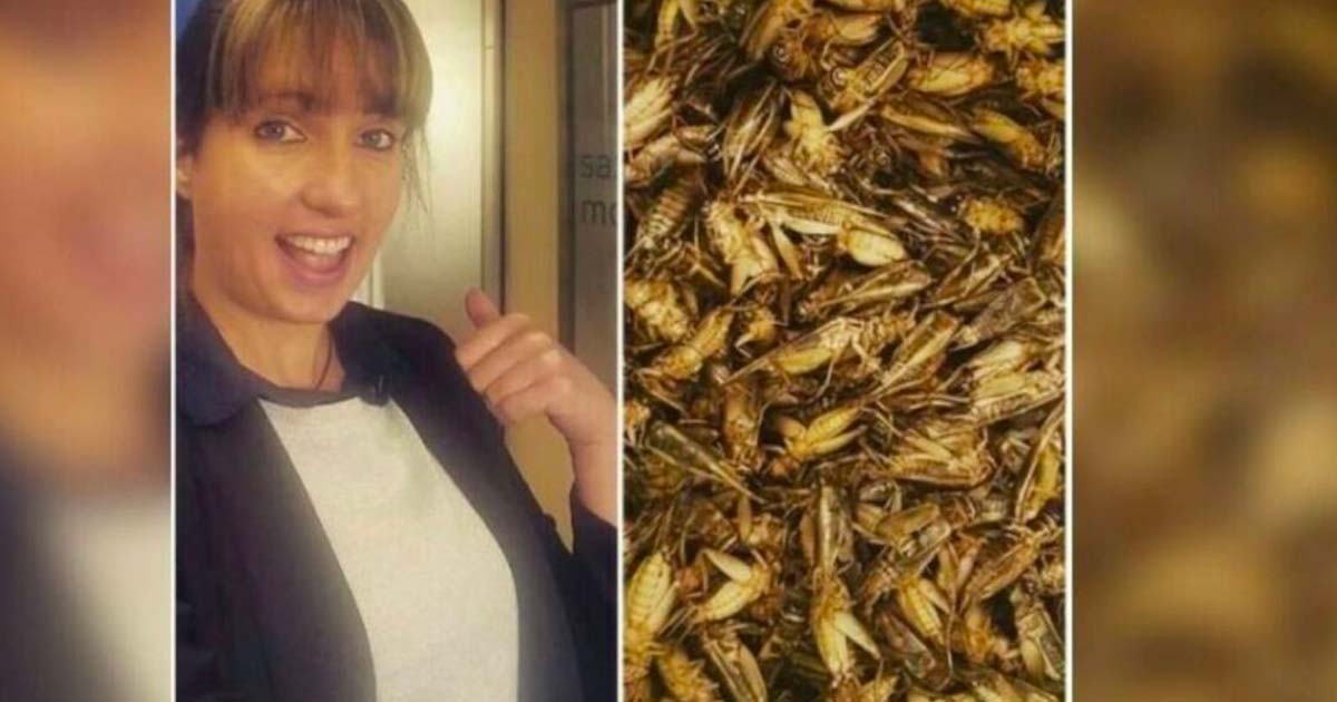 31-åriga Joanne ersatte kött med insekter: "smakar som kyckling"
